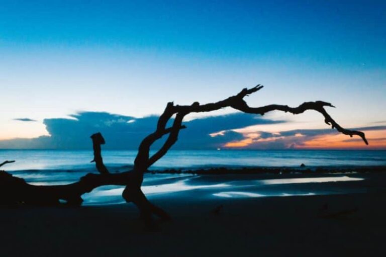 The Best Off-Season Beaches in the Southeast