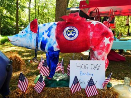 Hillsborough, NC Hog Day Festival