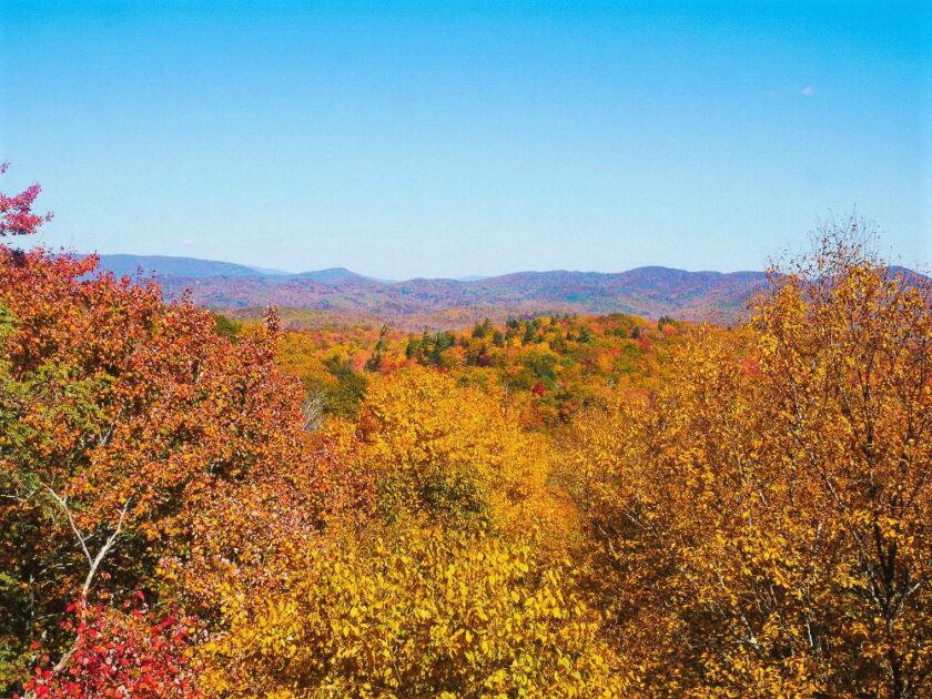 Fall Colors on the Blue Ridge Parkway - A One-Day Itinerary ...