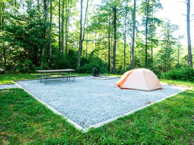 Gorges State Park, NC